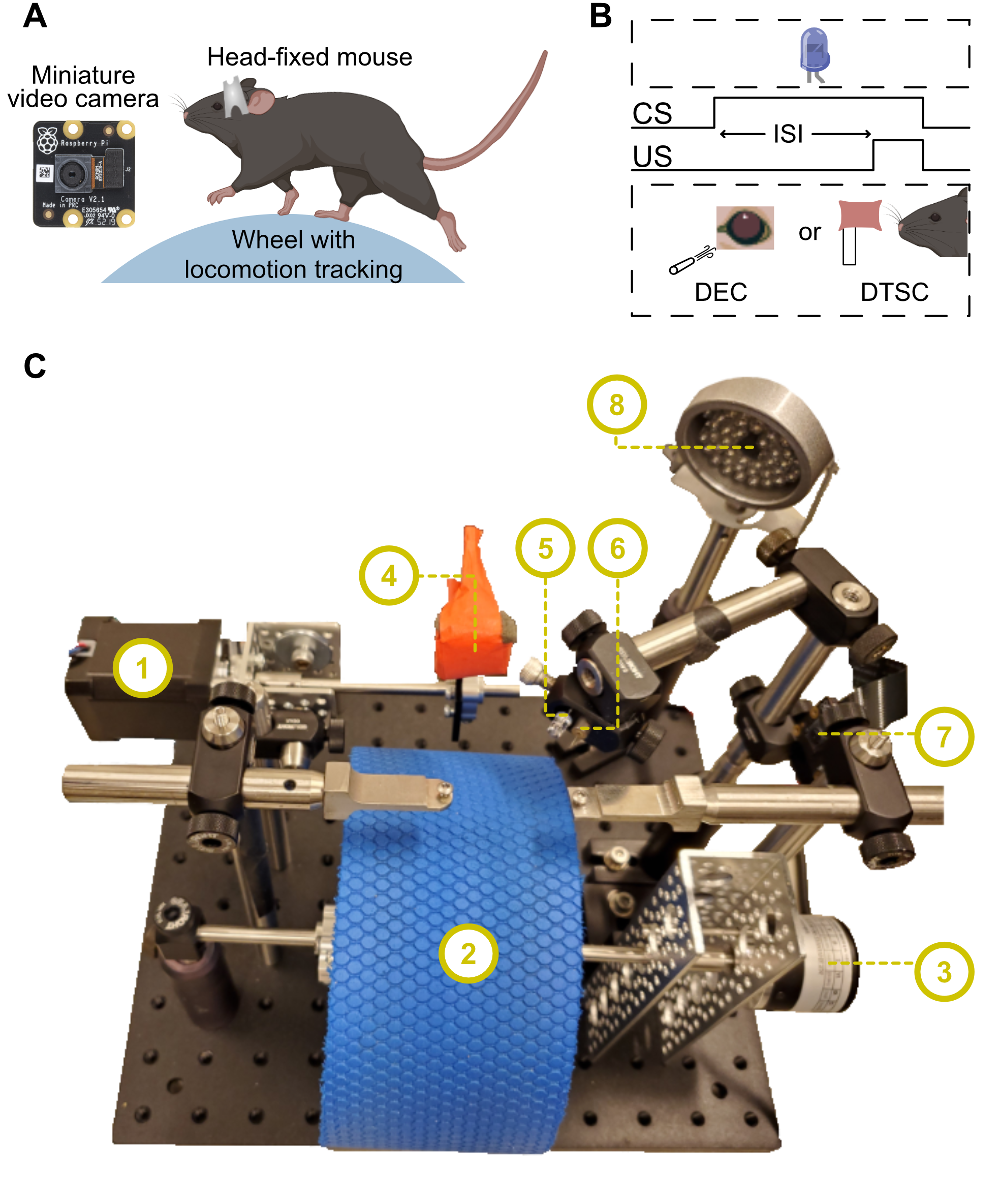 A Flexible Platform for Monitoring Cerebellum-Dependent Sensory ...