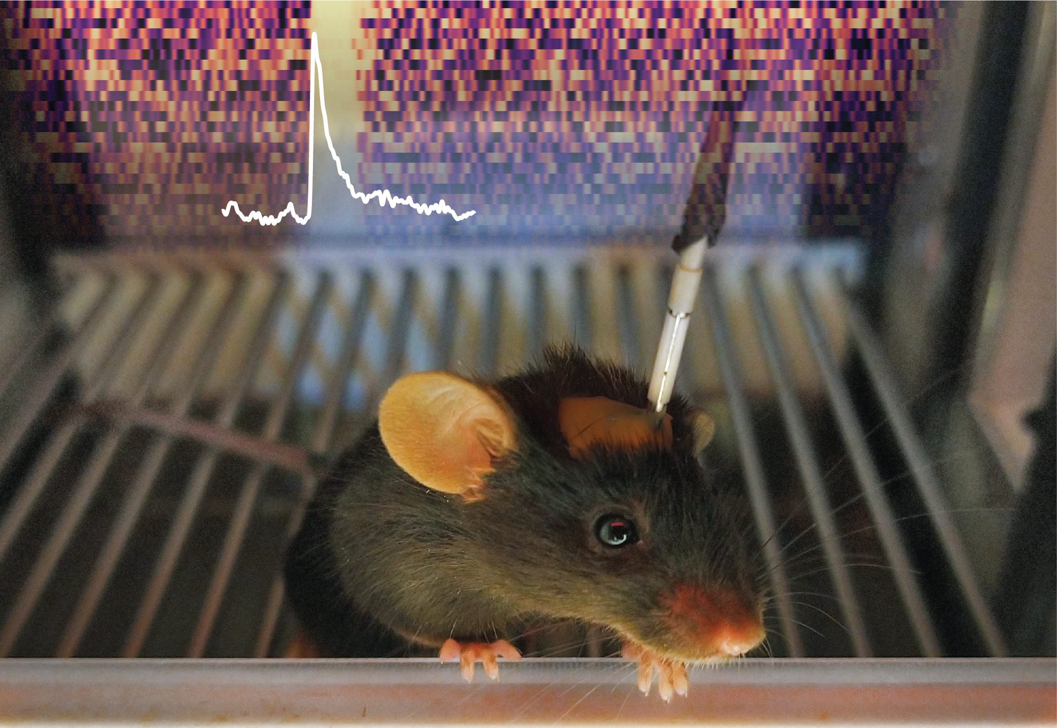 GuPPy, a Python toolbox for the analysis of fiber photometry data ...