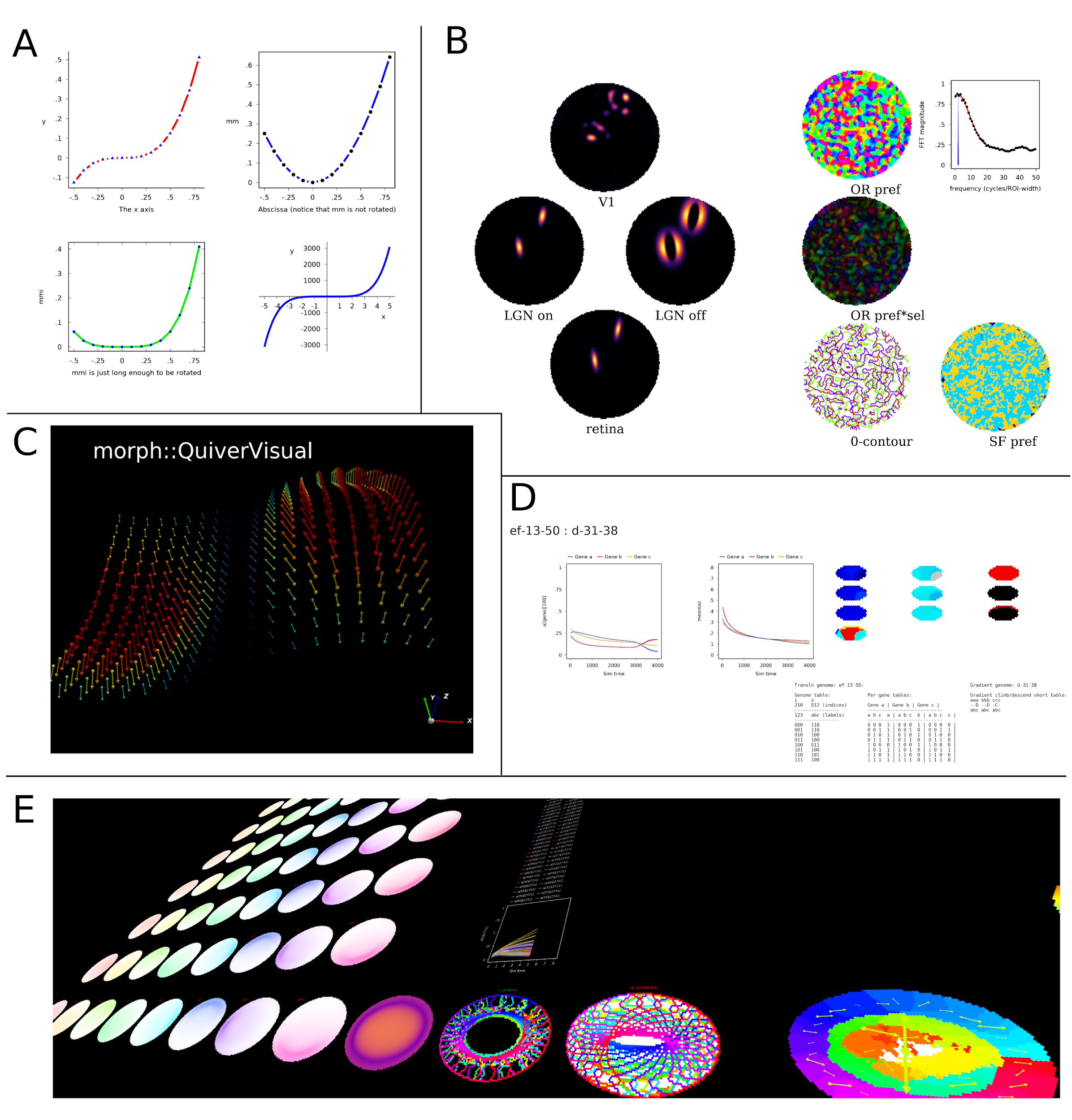 morphologica | Open Neuroscience