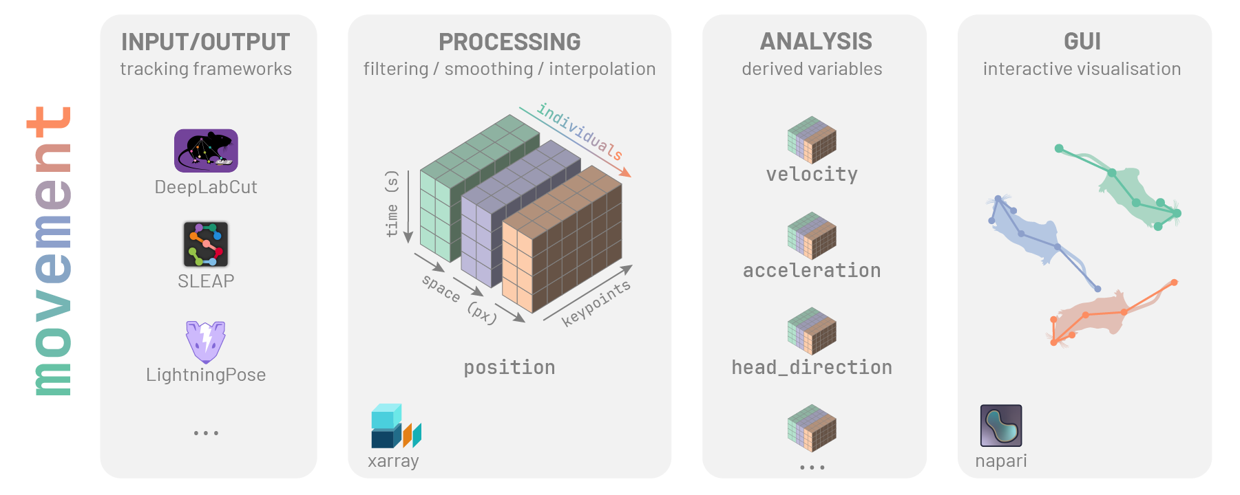 movement | Open Neuroscience