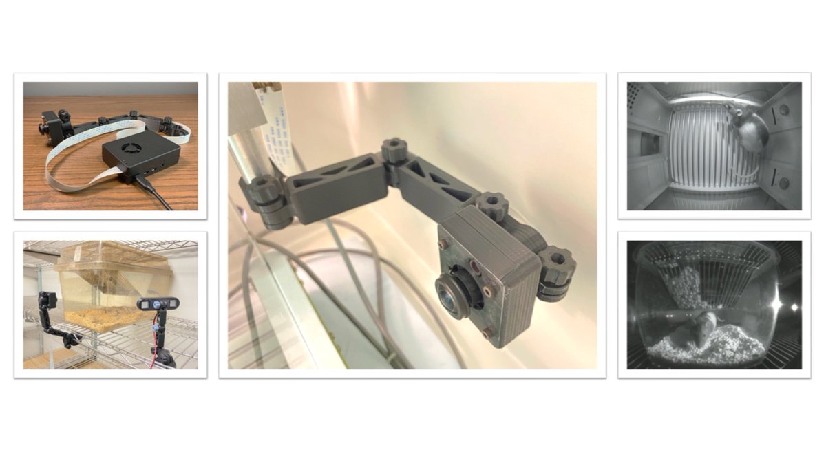 Pi USB Cam - An Affordable, Simple, Powerful, & Versatle DIY Video ...