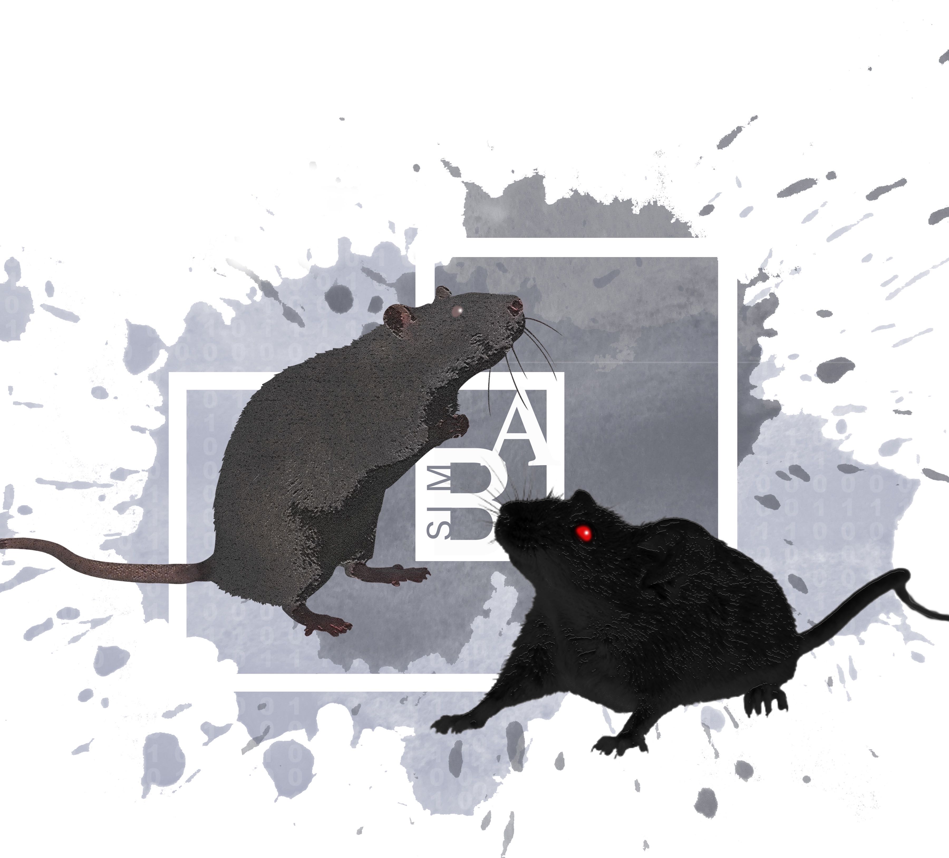 Simple Behavioral Analysis Simba Open Neuroscience