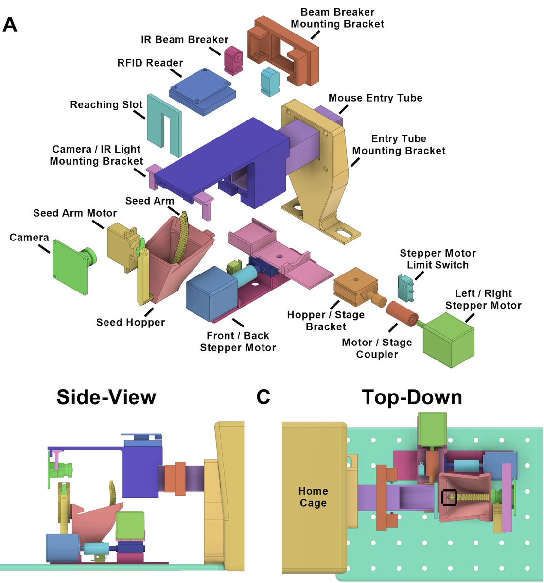The home cage automated skilled reaching apparatus HASRA individualized ...