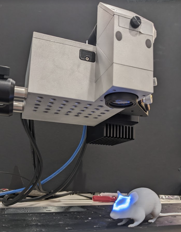 Zapit | Open Neuroscience